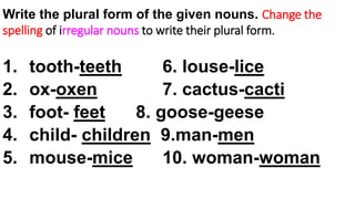 plural noun quiz.pptx