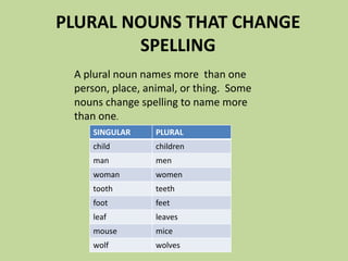 Plural Nouns | PPT
