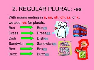 Plural nouns | PPT