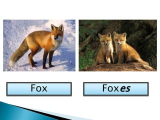 Plural nouns | PPTX