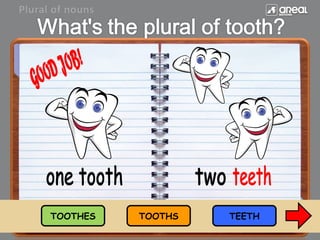Plural nouns | PPT