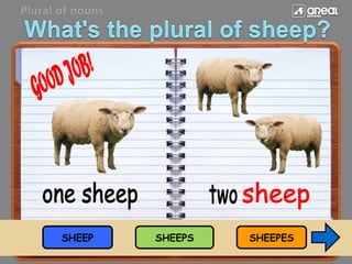 Plural nouns | PPT