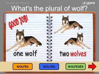 Plural nouns | PPT