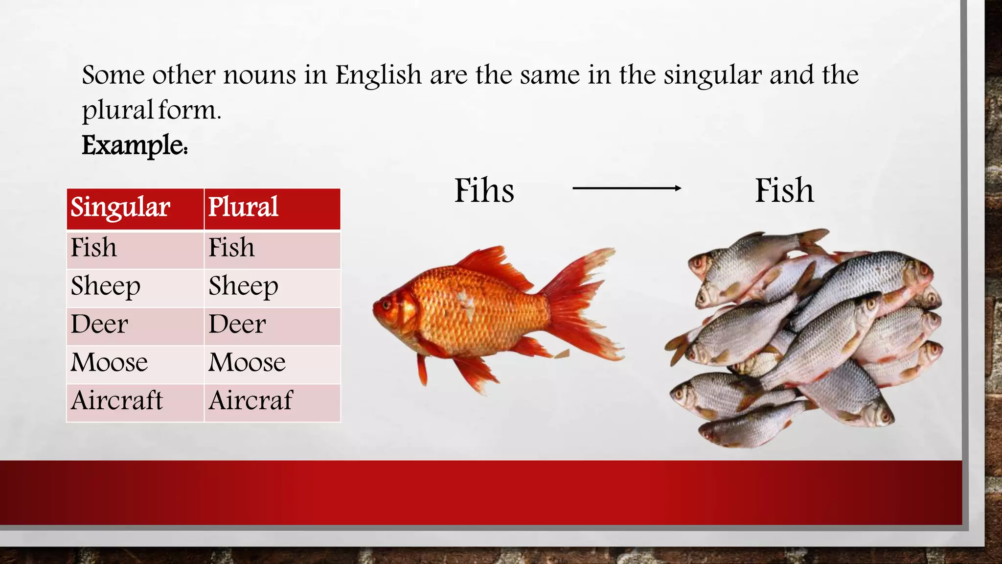 Plural nouns | PPT
