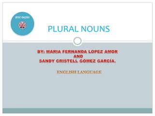 Plural nouns | PPT
