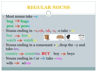 Plural nouns | PPTX