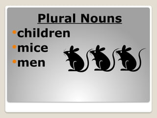 Singular and Plural Nouns PowerPoint presentation | PPSX