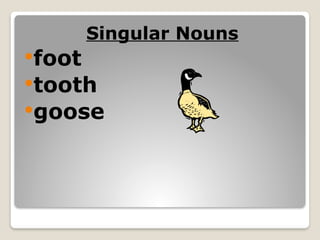 Singular and Plural Nouns PowerPoint presentation | PPSX