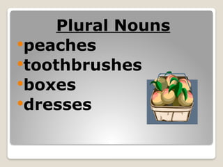 Singular and Plural Nouns PowerPoint presentation | PPSX