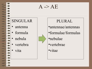 Regular, semirregular and irregular plural nouns.ppt