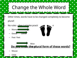 Plural Nouns , how they are formed and examples | PPTX