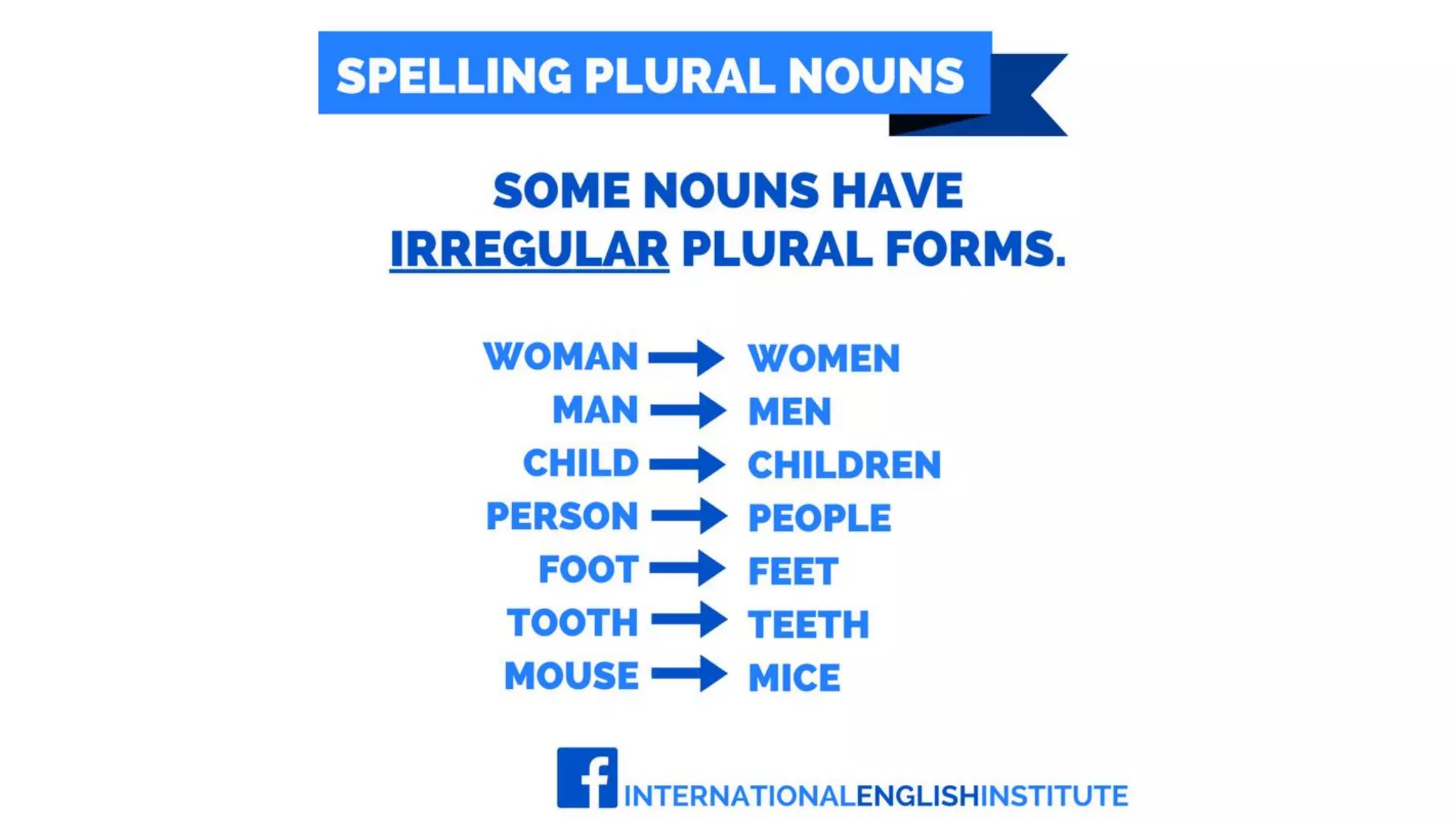 Spelling Plural Nouns in English | PPT