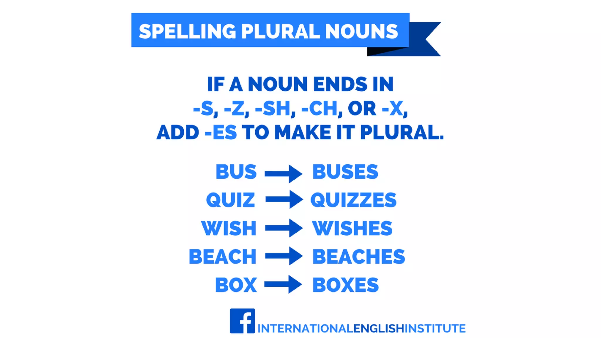 Spelling Plural Nouns in English | PPT