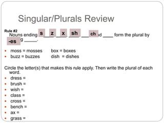 Plural nouns power point | PPTX