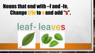 Plural Nouns Rules - grade 7.pdf