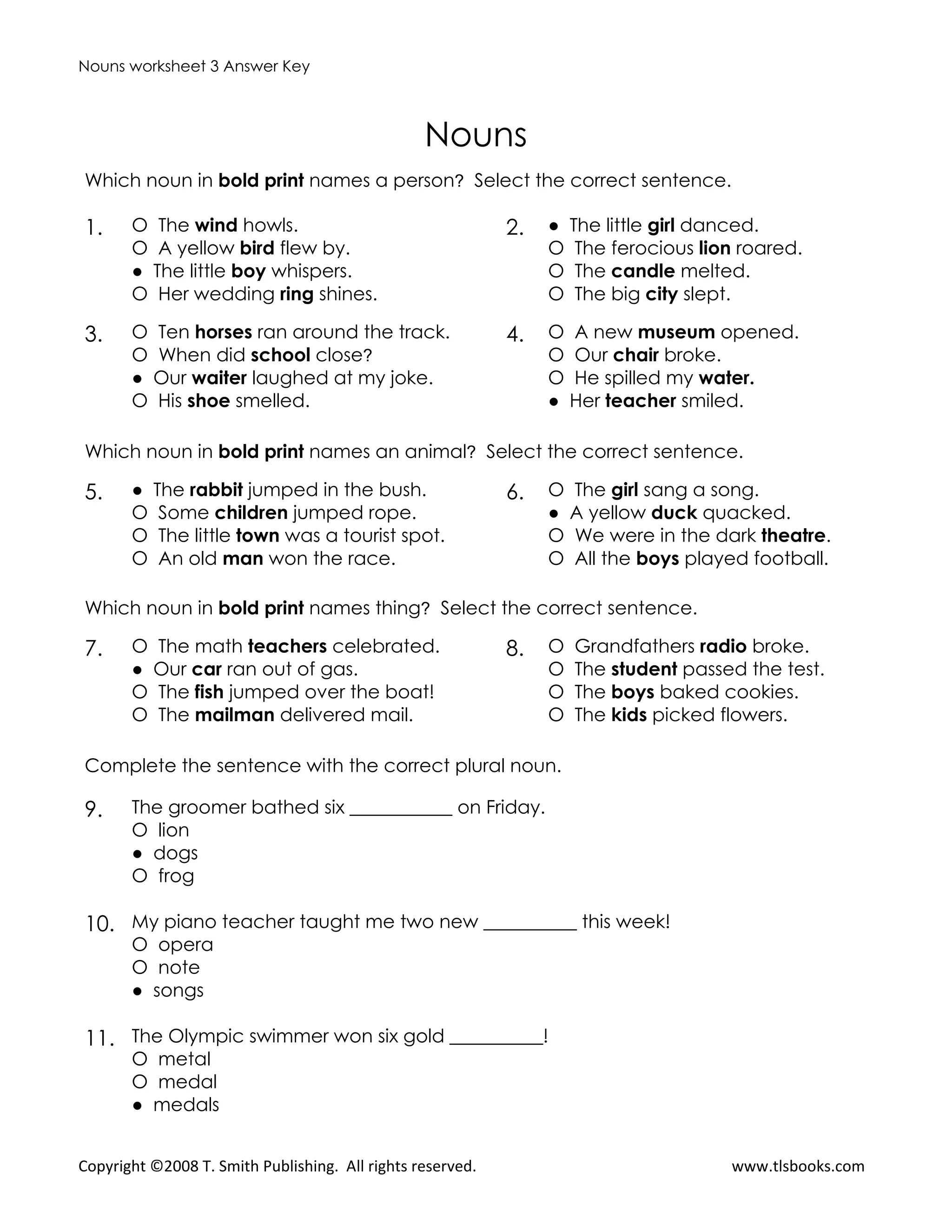 Plural noun worksheet number 6 | PDF