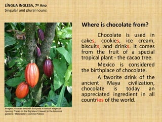 Plural of names | PPT