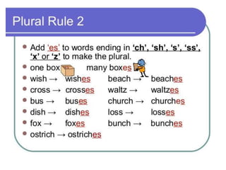 Plural Rules in English | PPTX