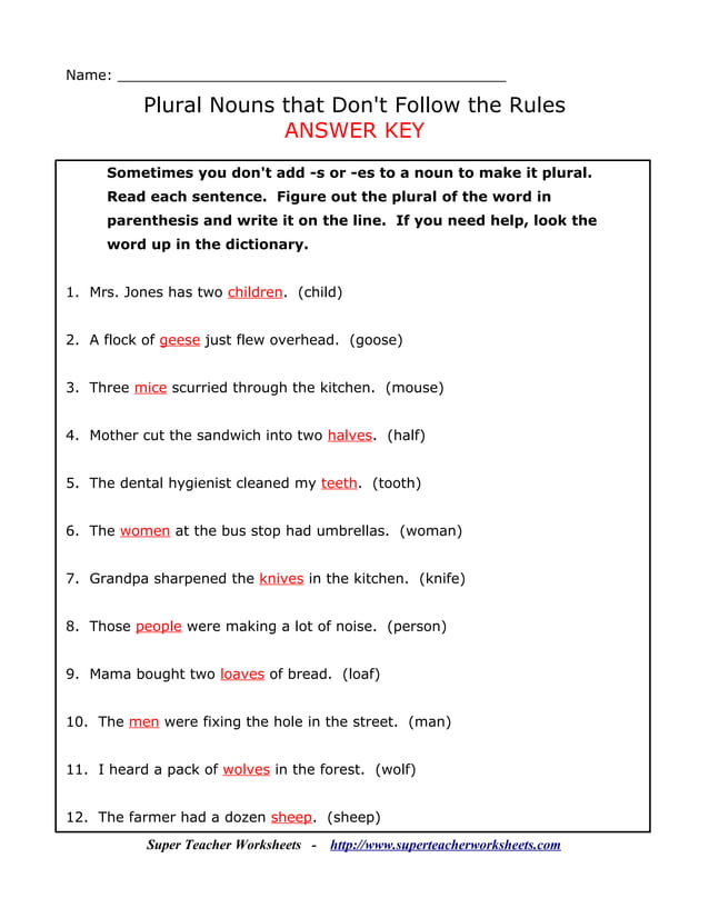 Plurals rules and practice | PDF