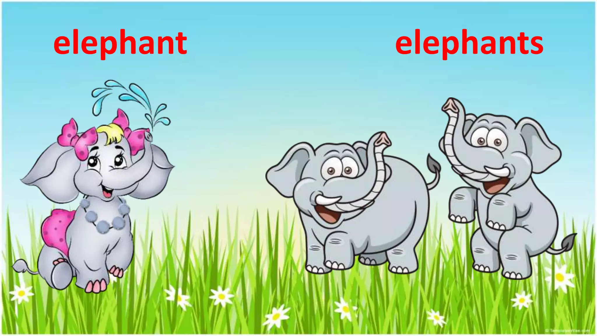 Animals. Plurals | PPTX