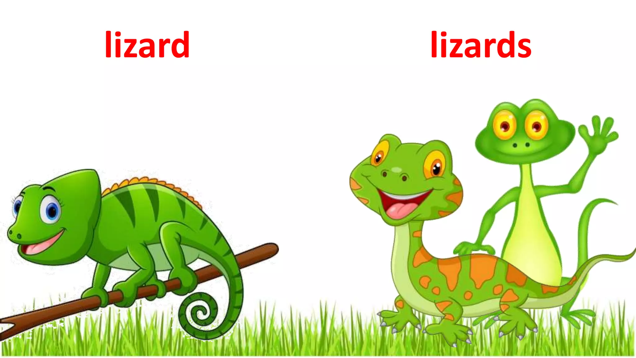 Animals. Plurals | PPTX