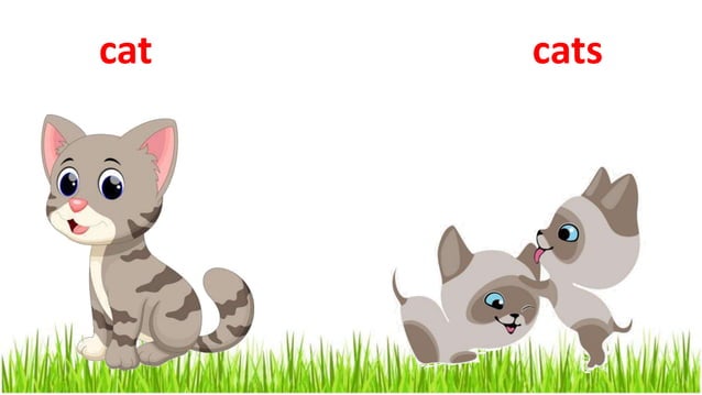Animals. Plurals | PPTX