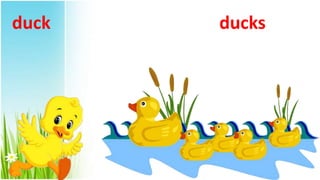 Animals. Plurals | PPTX
