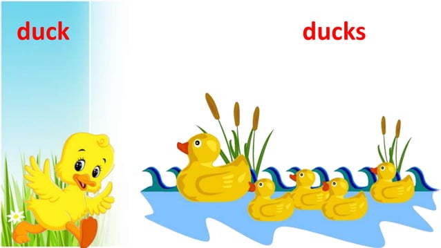 Animals. Plurals | PPTX