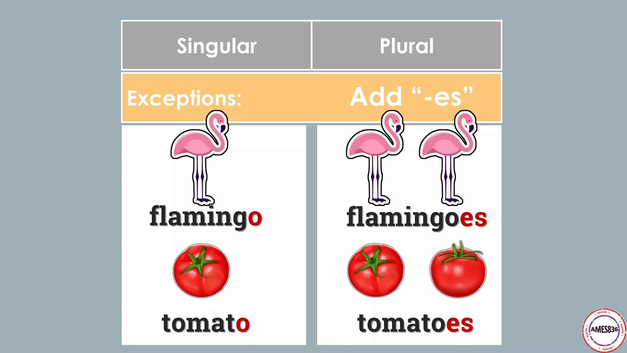 Plural Nouns: English Language | PDF