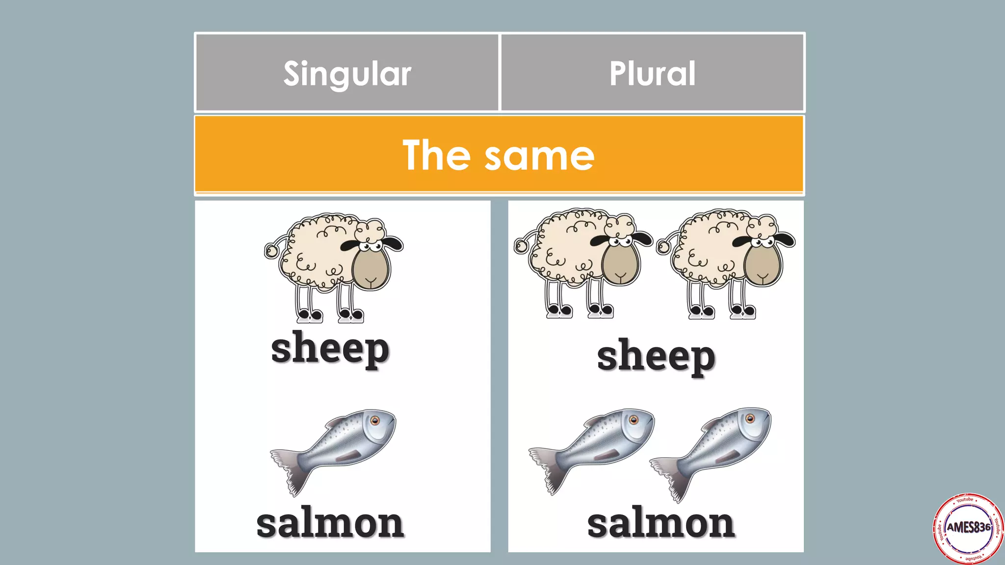 Plural Nouns: English Language | PDF
