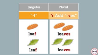 Plural Nouns: English Language | PDF