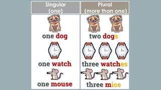 Plural Nouns: English Language | PDF