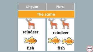 Plural Nouns: English Language | PDF