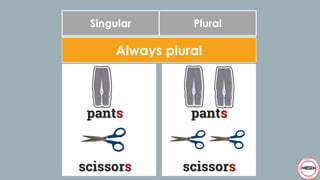 Plural Nouns: English Language | PDF