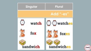 Plural Nouns: English Language | PDF