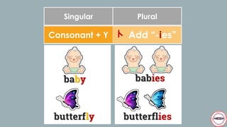 Plural Nouns: English Language | PDF