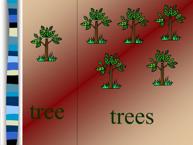 plurals.ppt ONE MANY CONCEPT, ENGLISH CALSS ONE | PPT