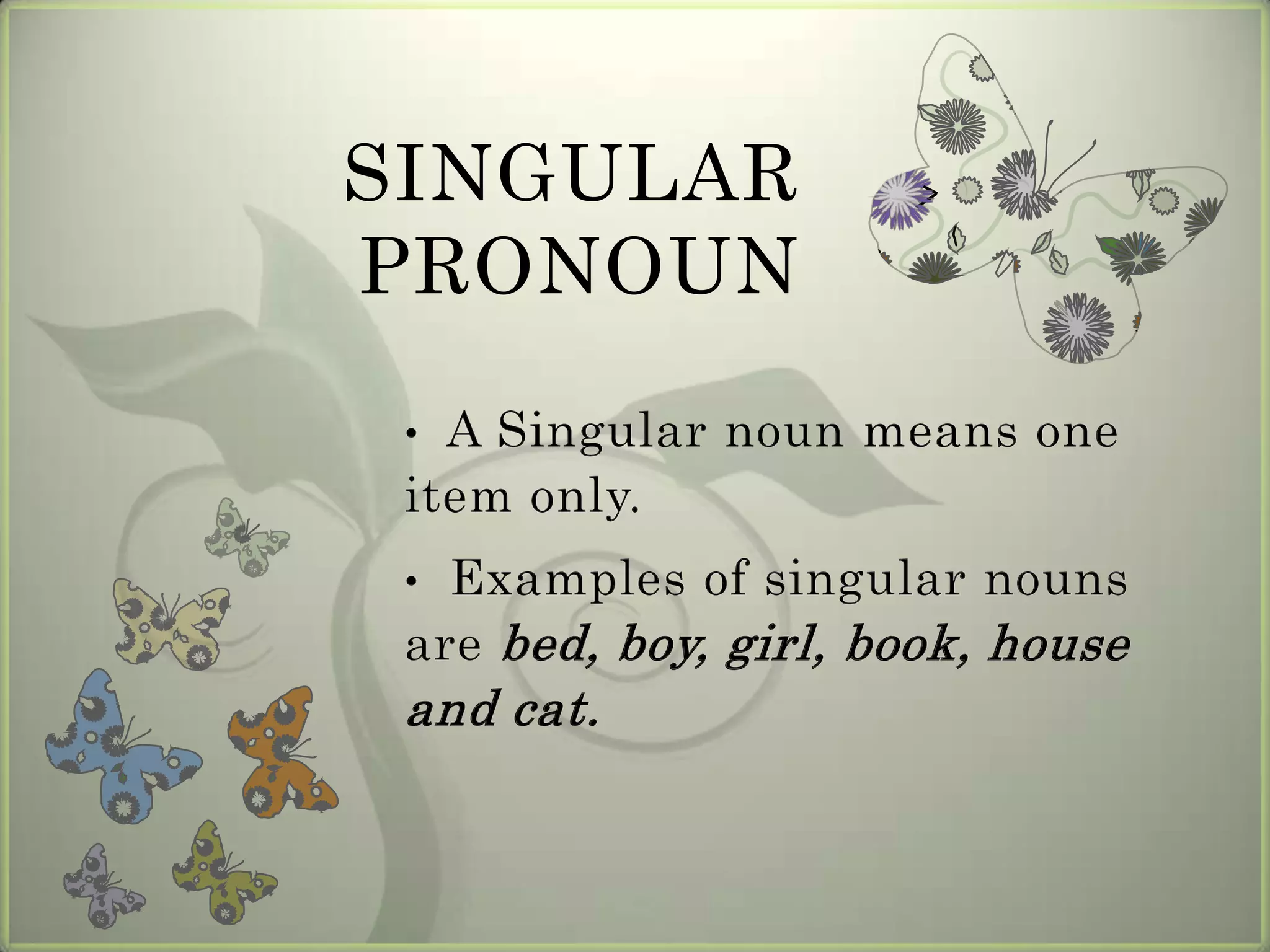 Singular & Plural Nouns | PPSX