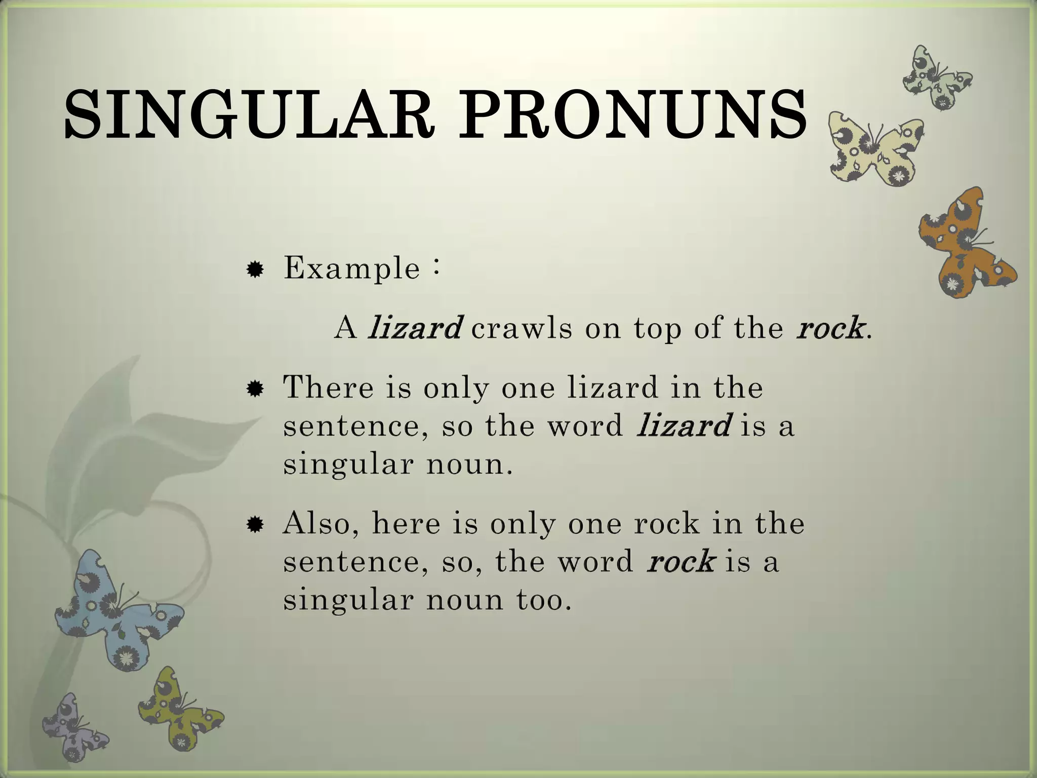 Singular & Plural Nouns | PPSX