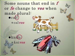 Singular & Plural Nouns | PPSX