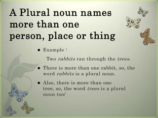 Singular & Plural Nouns | PPSX
