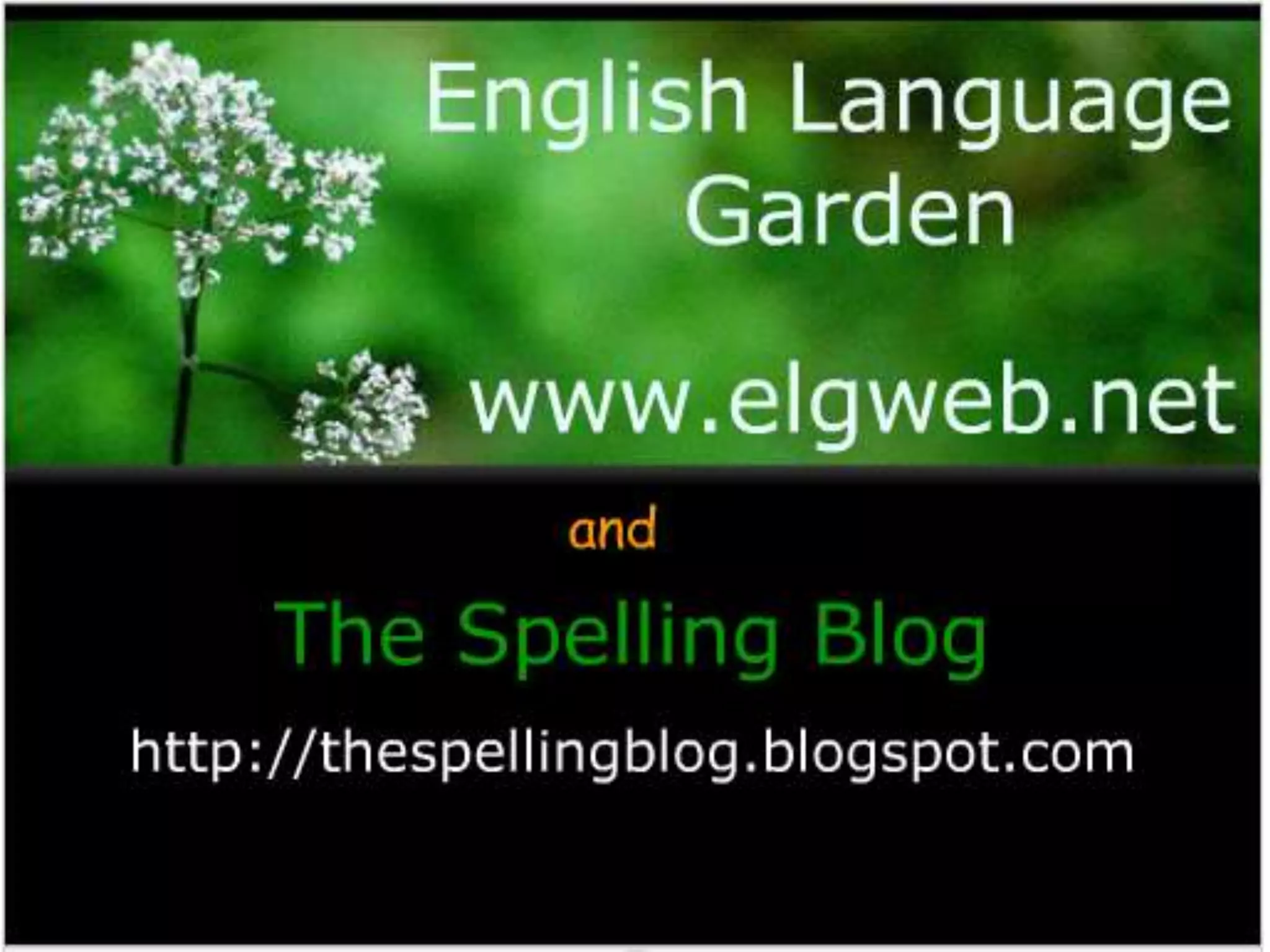 Plurals Of Words Ending In ‘O’ | PPTX