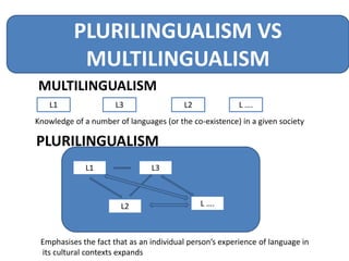Plurilingualism | PPTX