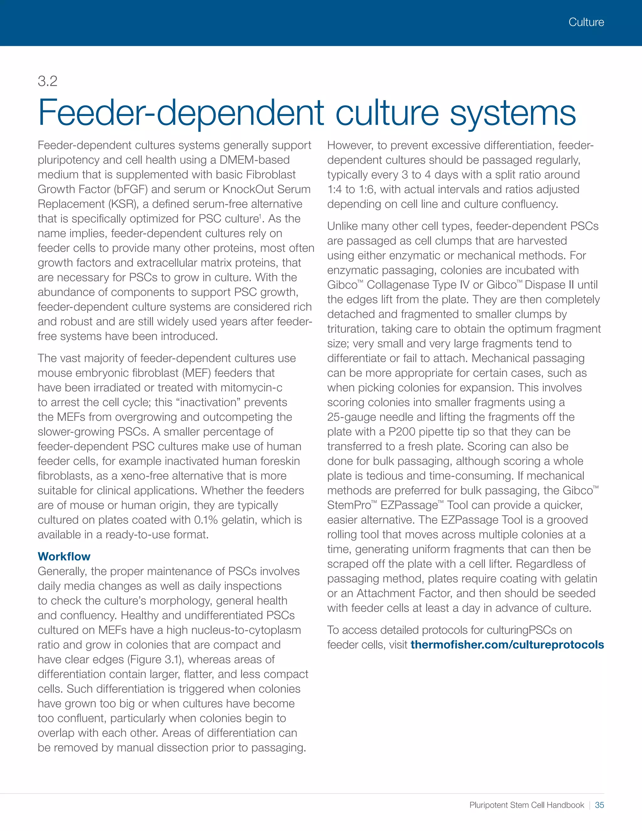 Pluripotent stem-cell-handbook-from-nature-and-thermoscience | PDF