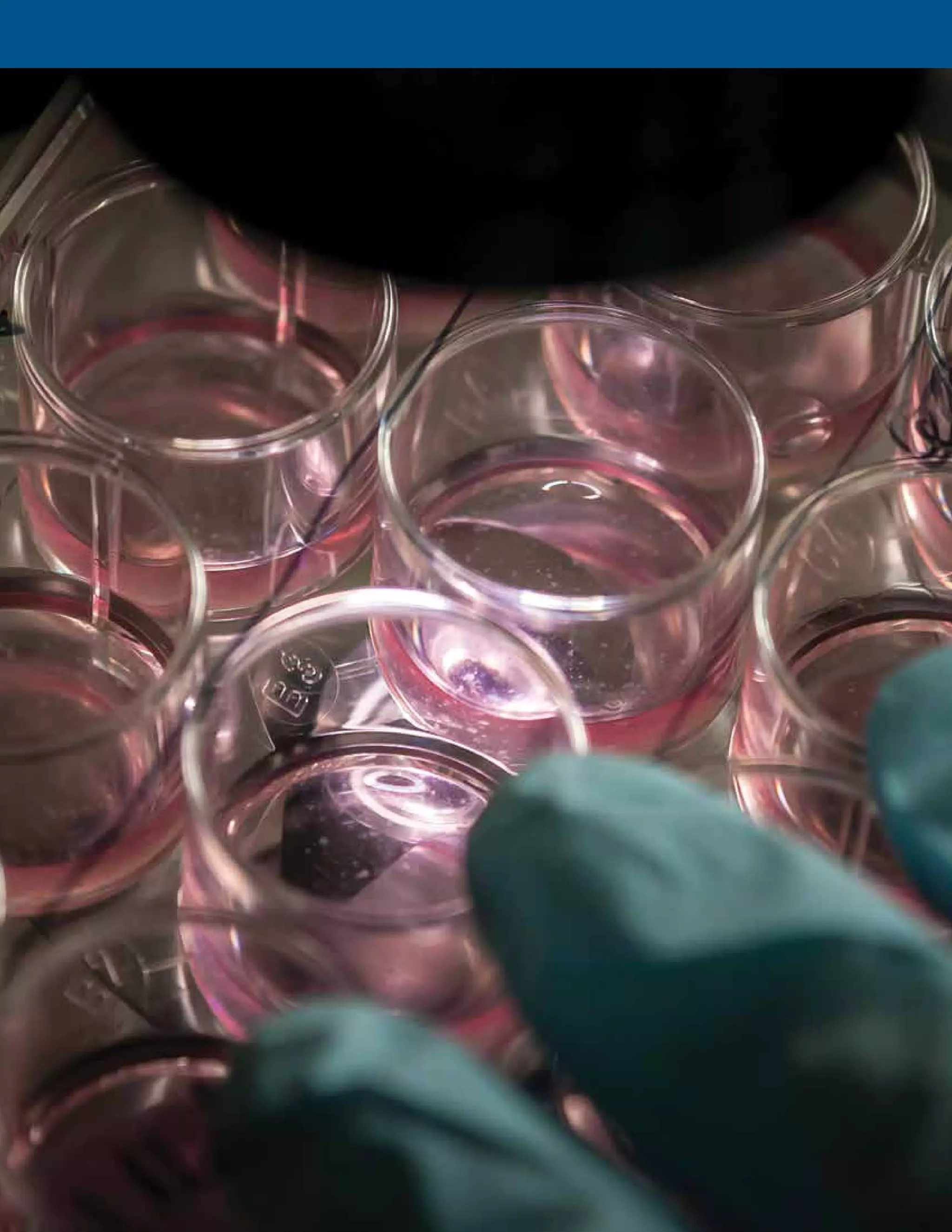 Pluripotent stem-cell-handbook-from-nature-and-thermoscience | PDF