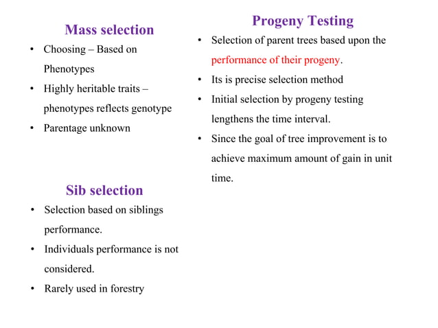 plus tree selection.pptx