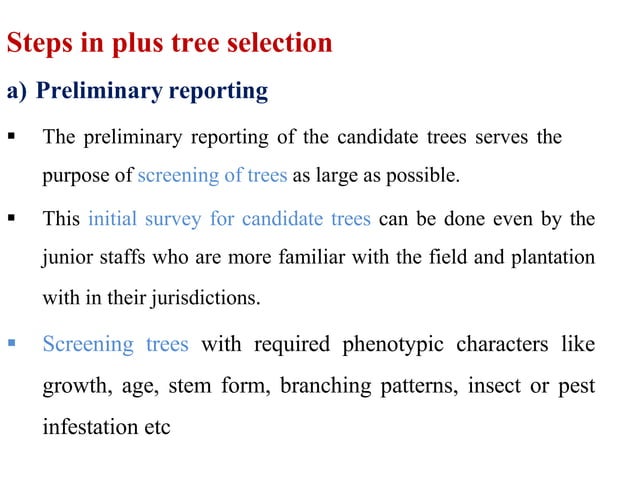 plus tree selection.pptx