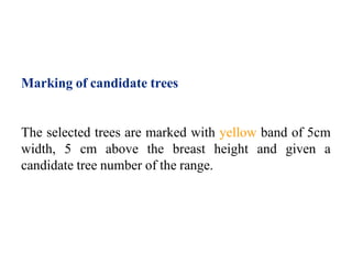 plus tree selection.pptx