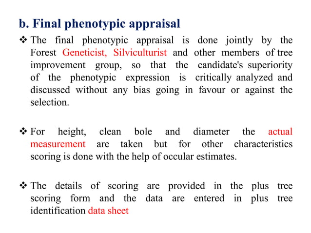plus tree selection.pptx