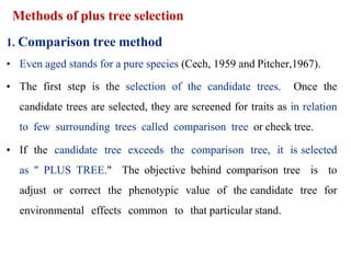 plus tree selection.pptx